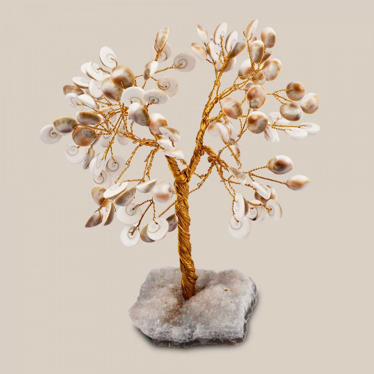 Gomati Chakra Tree benefits – Vastu-Samadhan